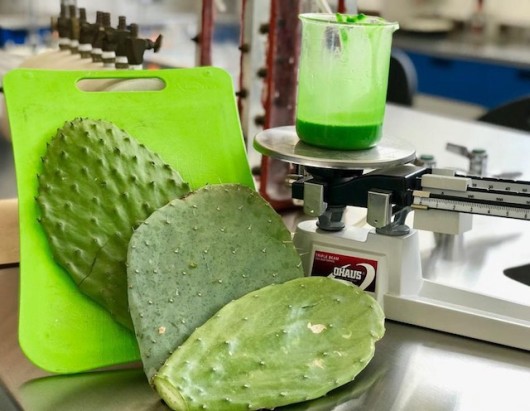 Mexican Scientist Makes Edible, Biodegradable New Form of Plastic Out ...