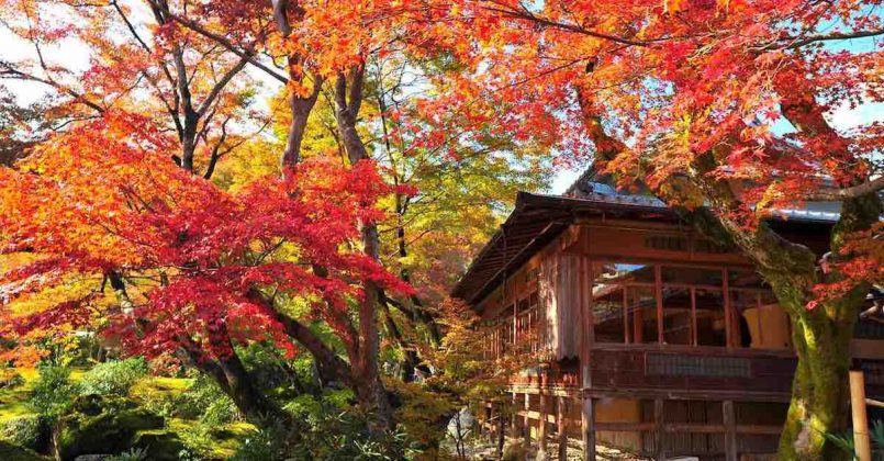 Here's an Interactive Map that Will Allow You to Plan a Precise Fall ...