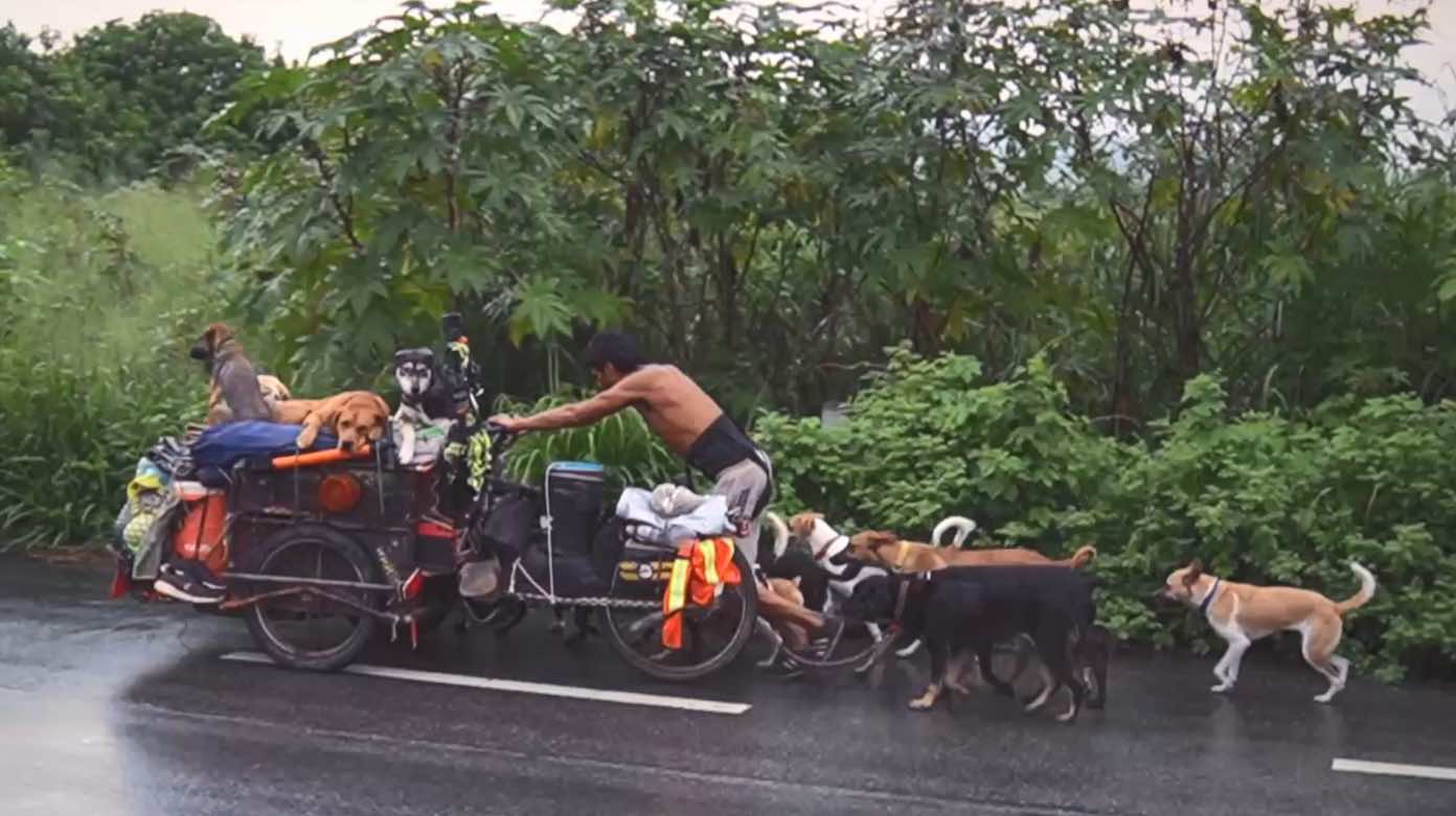 Humble Man Walks Almost Entire Perimeter of Mexico Saving Hundreds of ...