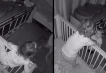 Watch Doting Small Child Help His Sister Escape From Crib So They Can ...