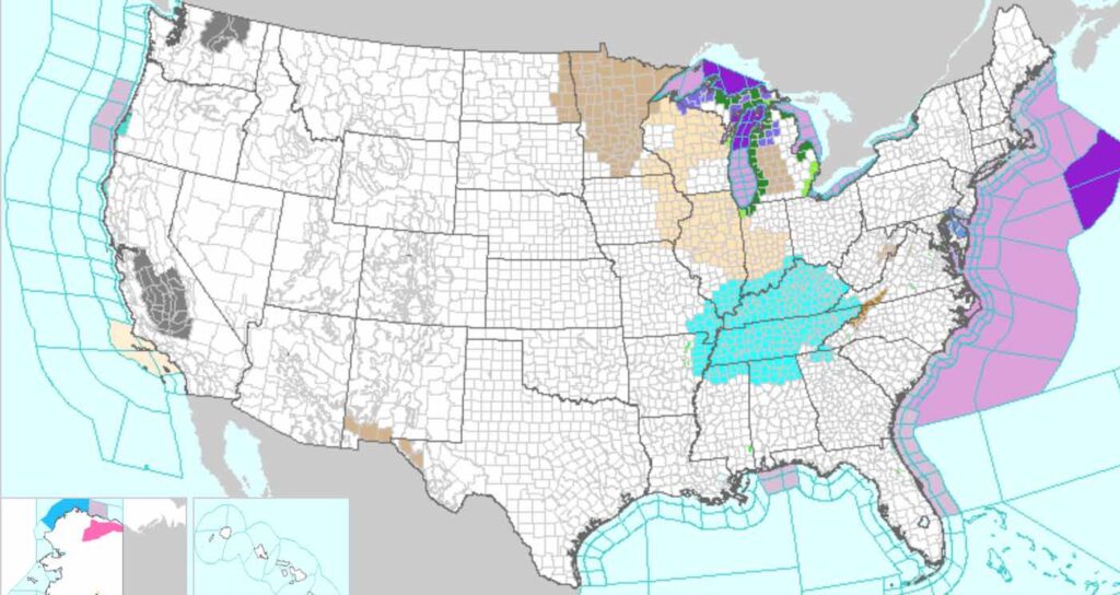 Good News in History, November 1 - Good News Network
