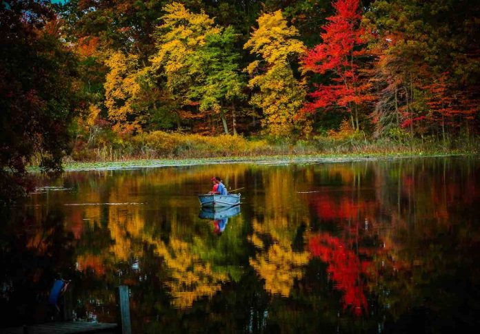 Want to Know Where The Best Fall Colors Are in Your Area? Check Out ...