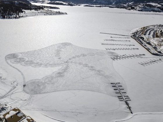 Artist Creates Breathtaking ‘Drawings’ in Snow By Walking for Hours at ...