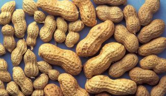 Peanut and Food Allergies May Be Reversed with Compound Produced by ...
