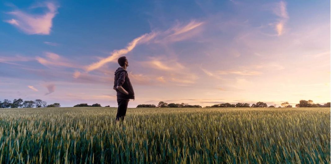 “Confusion, when properly supported, isn’t an obstacle to learning but ...