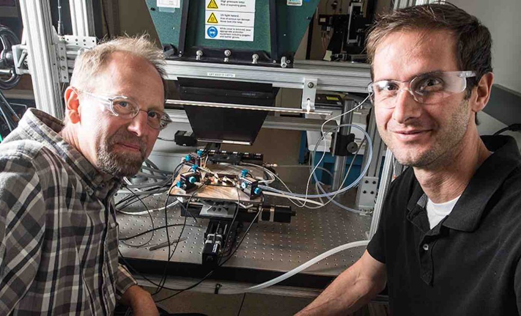 Newly-Developed Solar Cell Earns Two World Records for Its ...