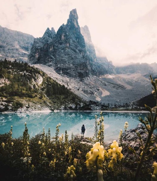 These 12 Stunning Photos Were Voted Best in the World For Depicting the ...