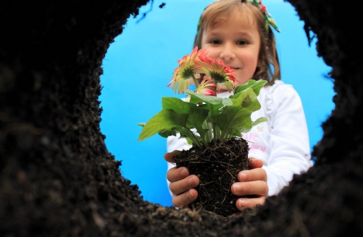 These 12 Stunning Photos Were Voted Best in the World For Depicting the ...