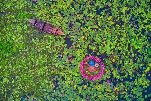 These 12 Stunning Photos Were Voted Best in the World For Depicting the ...