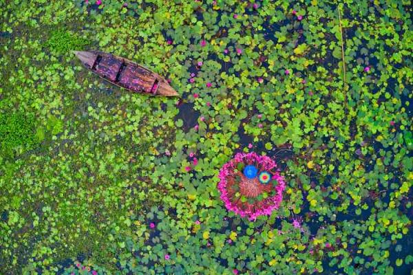 These 12 Stunning Photos Were Voted Best in the World For Depicting the ...