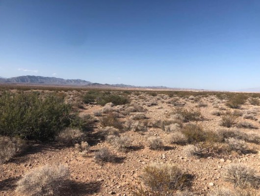 U.S. Approves Plan to Build the Nation’s Largest Solar Project in the ...