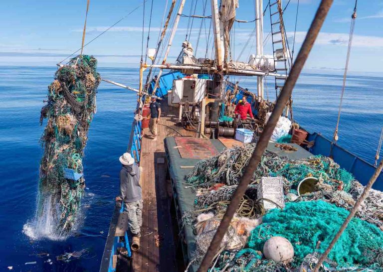 Hawaii Group Sets Record For Largest Haul of Plastic Removed From The ...