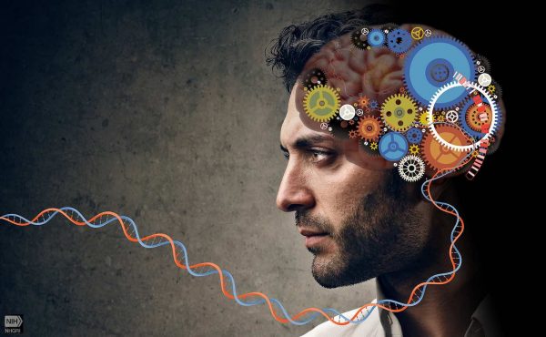 The Experience of Being ‘In the Flow’: How People Achieve The State of ...