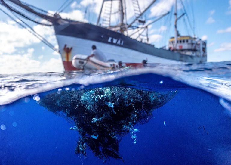 Hawaii Group Sets Record For Largest Haul of Plastic Removed From The ...