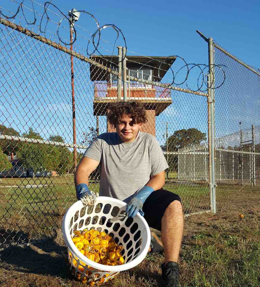 Nonprofit Flips Abandoned Prison into Sustainable Farm With the Help of ...