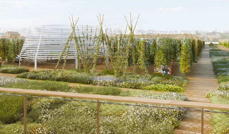 The Largest Urban Rooftop Farm in the World is Now Bearing Fruit (and ...