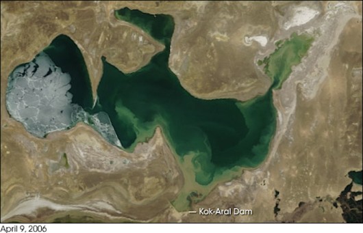 Once Left For Dead, The Aral Sea Is Now Brimming With Life Thanks to ...