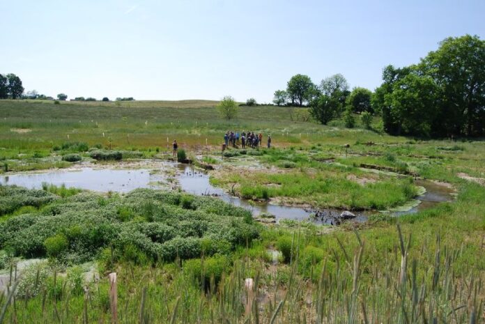 Scientists Uncover Secret In Centuries-Old Mud, Drawing A New Way To ...