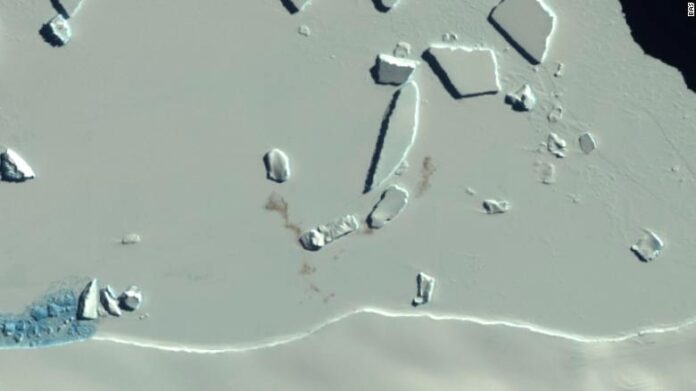 Satellites Reveal There Are 20% More Emperor Penguin Colonies in ...