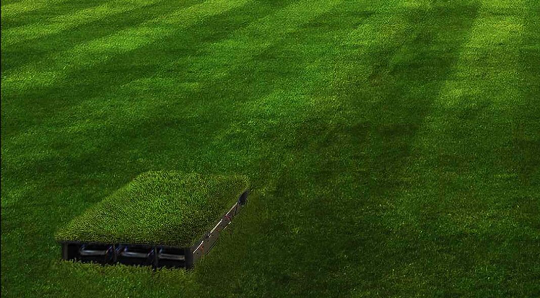 Natural Organisms in Soil Can Power Lights With This Bio Battery, Which ...