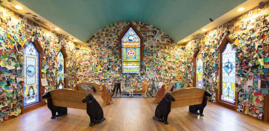 This Vermont Mountain Retreat is a Mecca for Dogs and Dog Lovers Across ...