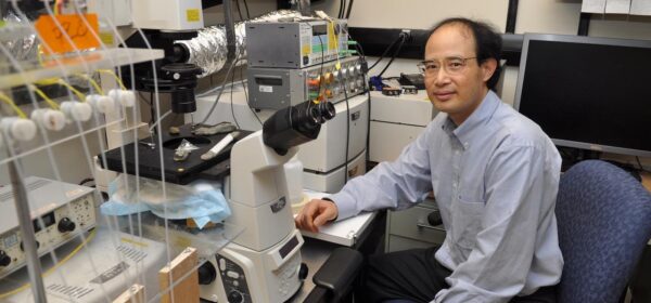 Researchers Discover a Breakthrough With Animal Studies That Has the ...