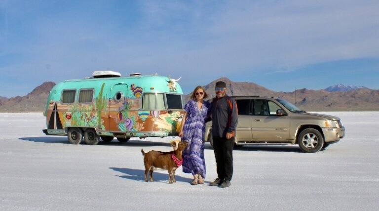 ‘Frankie the Adventure Goat’ Has Traveled Over 60,000 Miles Across ...