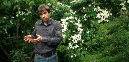 Englishman Grows 500 Types of Edible Foods With Only a Few Hours' Work ...