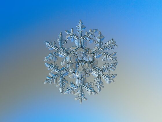 The Mind-Blowing Mathematics of Snowflakes