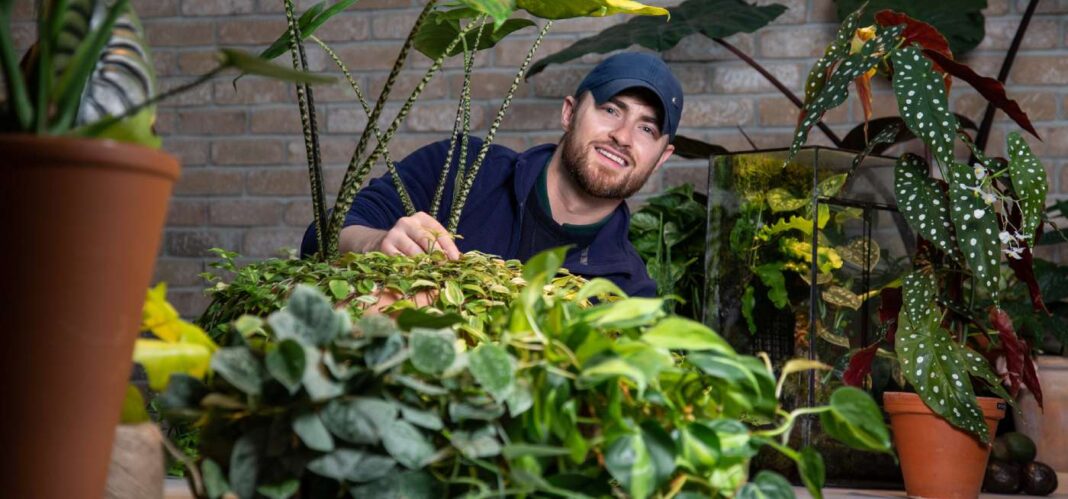 Green-Thumbed Man Grows Plants Worth $15,000 Per Leaf, Inspired by ...