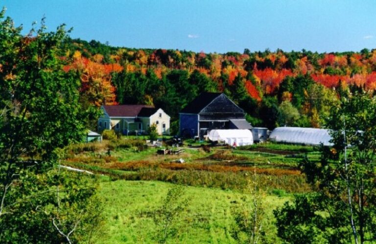 Family Farm in Maine Couldn’t Make it After Restaurants Close – Until ...