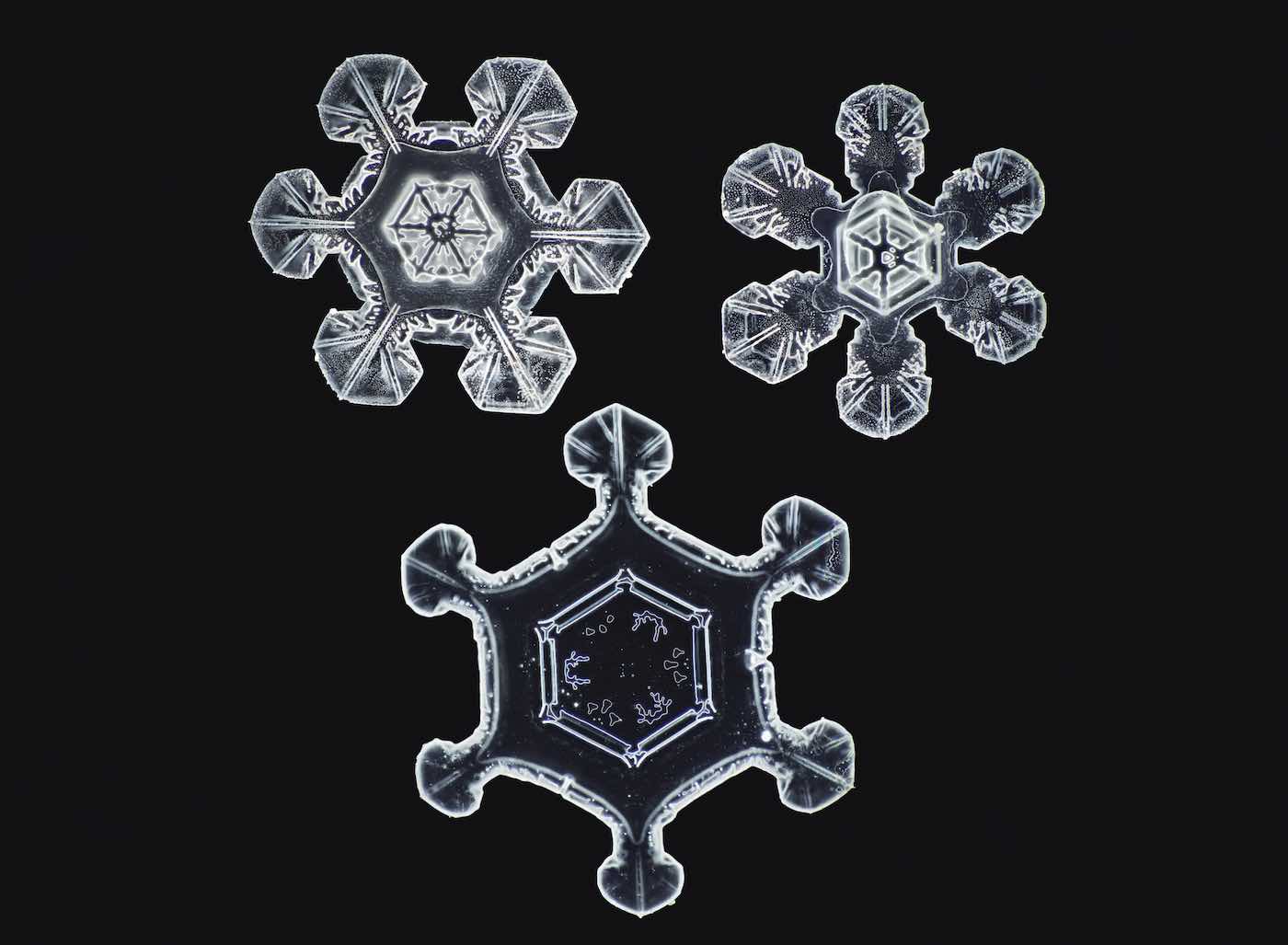 Check Out the Greatest Snowflake Photos Ever Taken With Vividly High ...