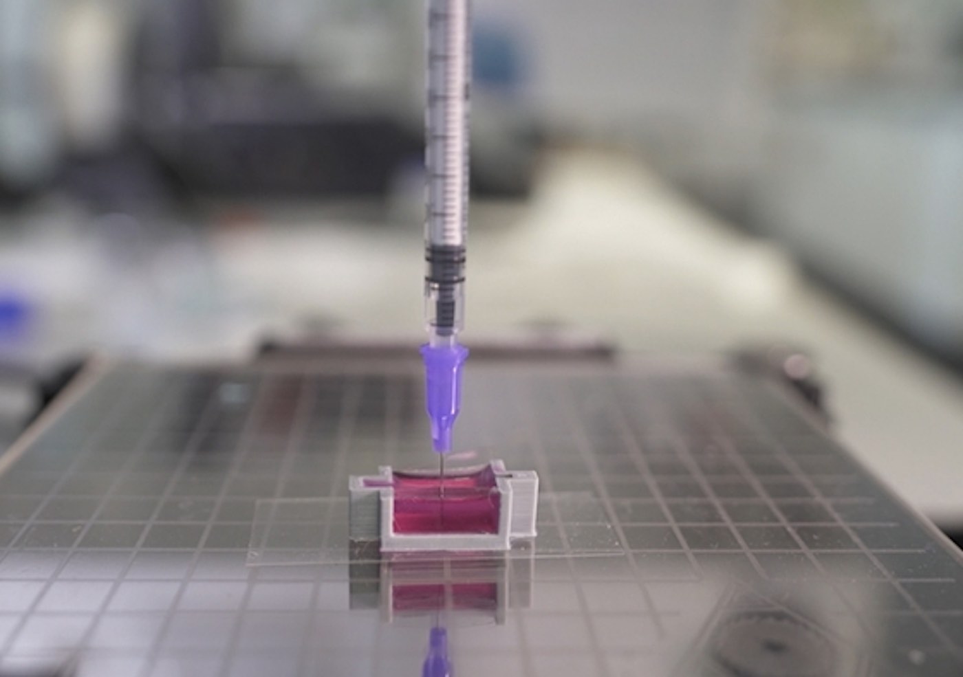 Scientists Use Novel Ink With Calcium to 3D-Print ‘Bone’ With Living Cells