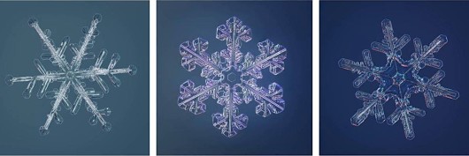 Check Out the Greatest Snowflake Photos Ever Taken With Vividly High ...