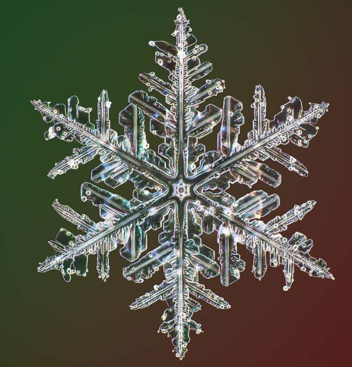 Check Out the Greatest Snowflake Photos Ever Taken With Vividly High ...