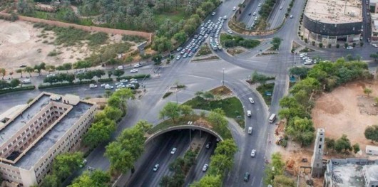 Saudi Arabia Plans to Plant 50 BILLION Trees – And Reduce Carbon ...