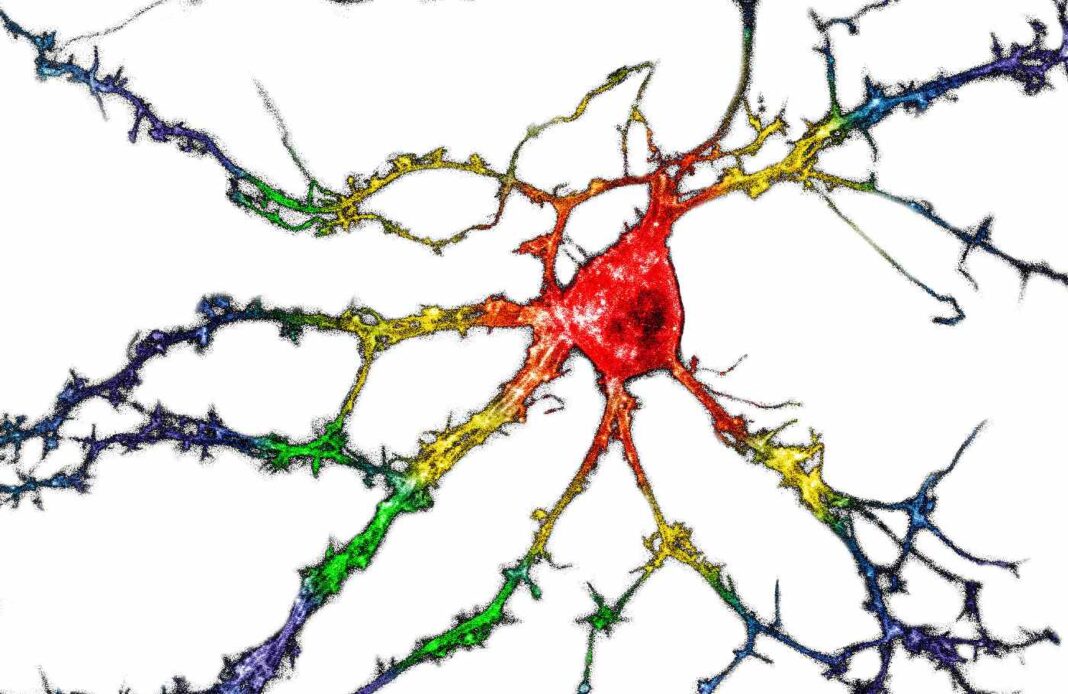 Scientists Discover Psychedelic-Like Drug That Doesn't Cause Hallucinations