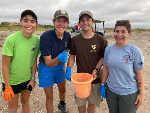 Two-Headed Turtle Discovered Hatched on South Carolina Beach Gives ...