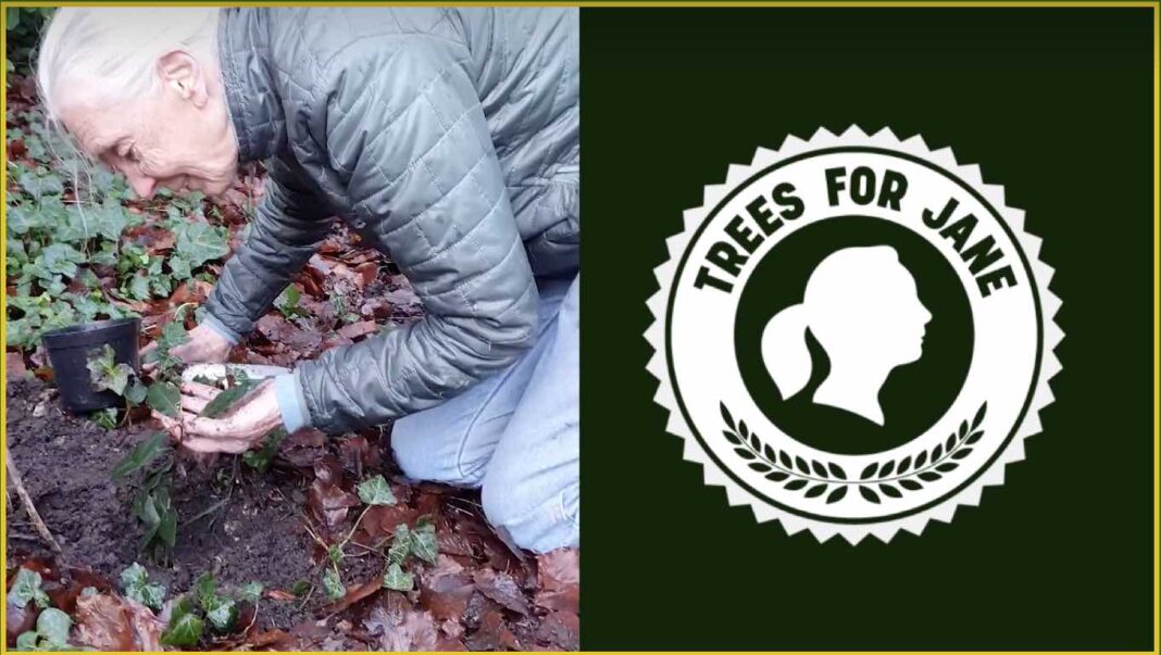 Jane Goodall Enlists Fans to Help Plant a Trillion Trees Around the ...