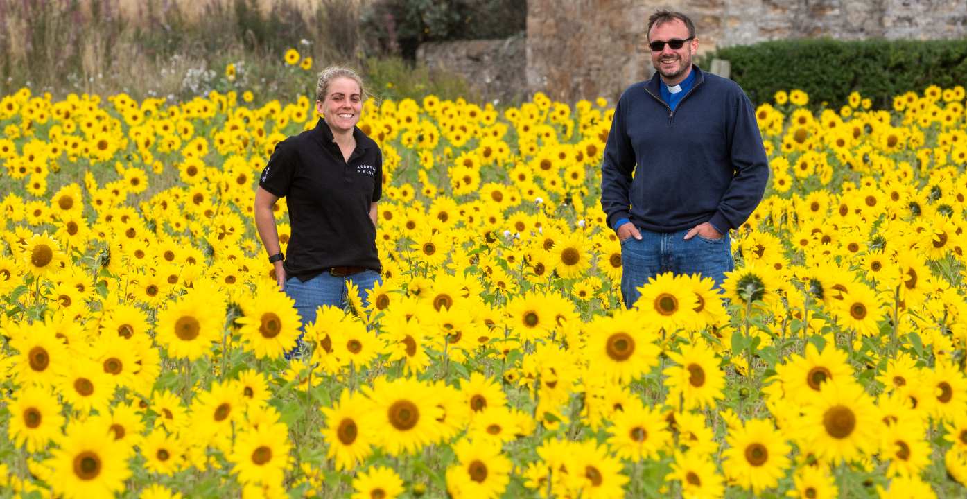 Huge Field is Planted With More Than 100,000 Sunflowers to Read the ...