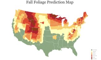 Want to Know Where The Best Fall Colors Are in Your Area? Check Out ...