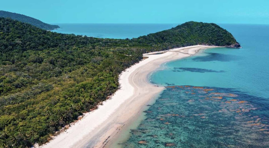 Australia Returns Huge Daintree Rainforest to its Aboriginal Owners ...