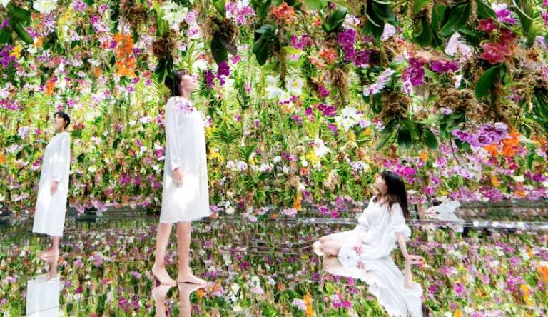 A Floating Flower Garden in Tokyo Immerses Visitors With Orchids That ...
