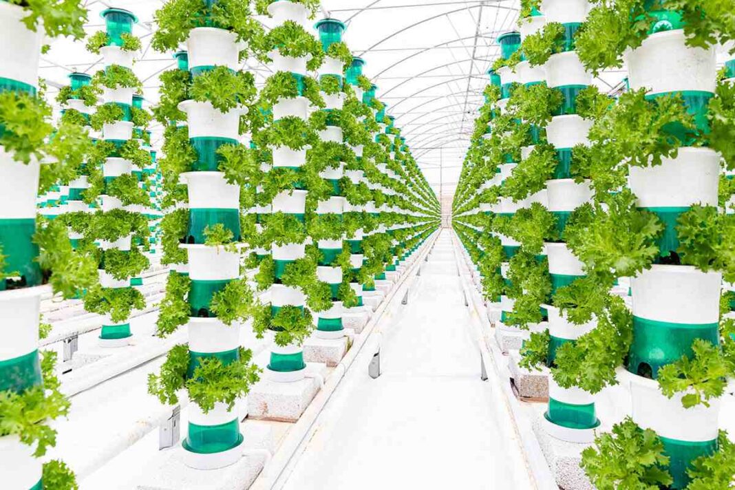 UK’s Largest Vertical Farm that Uses Only Sunlight Begins First Harvest