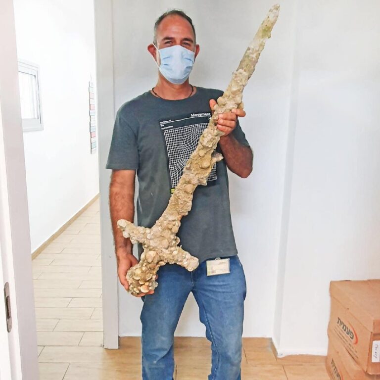 Diver Finds 900-Year-old Sword Wielded in the Crusades Off the Coast of ...