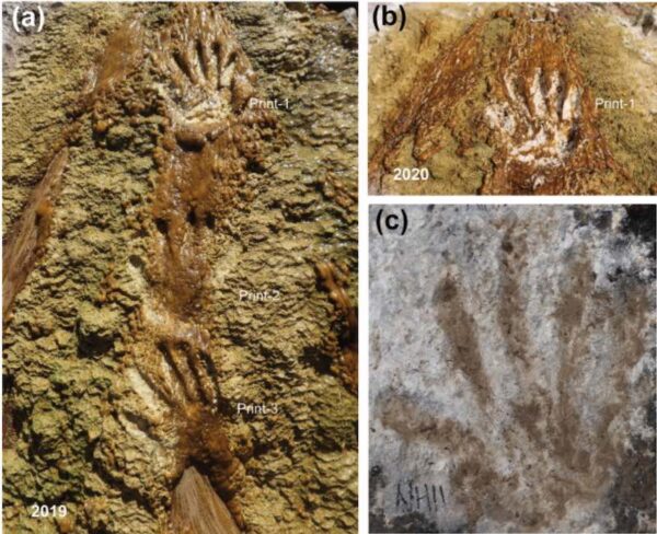 Earliest Prehistoric Art Discovered –And it Turns Out to Be Hand Prints ...