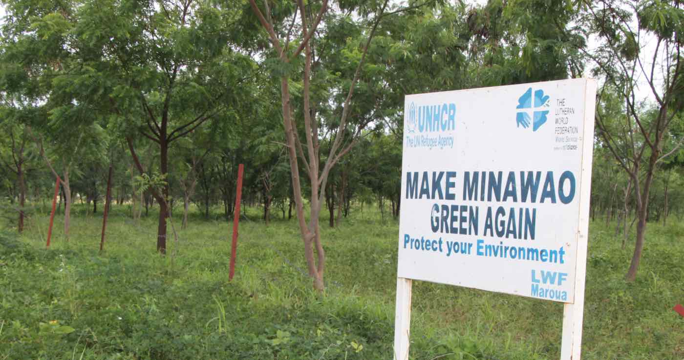 Refugees in Cameroon Have Turned a Treeless Desert Camp Into a Thriving ...