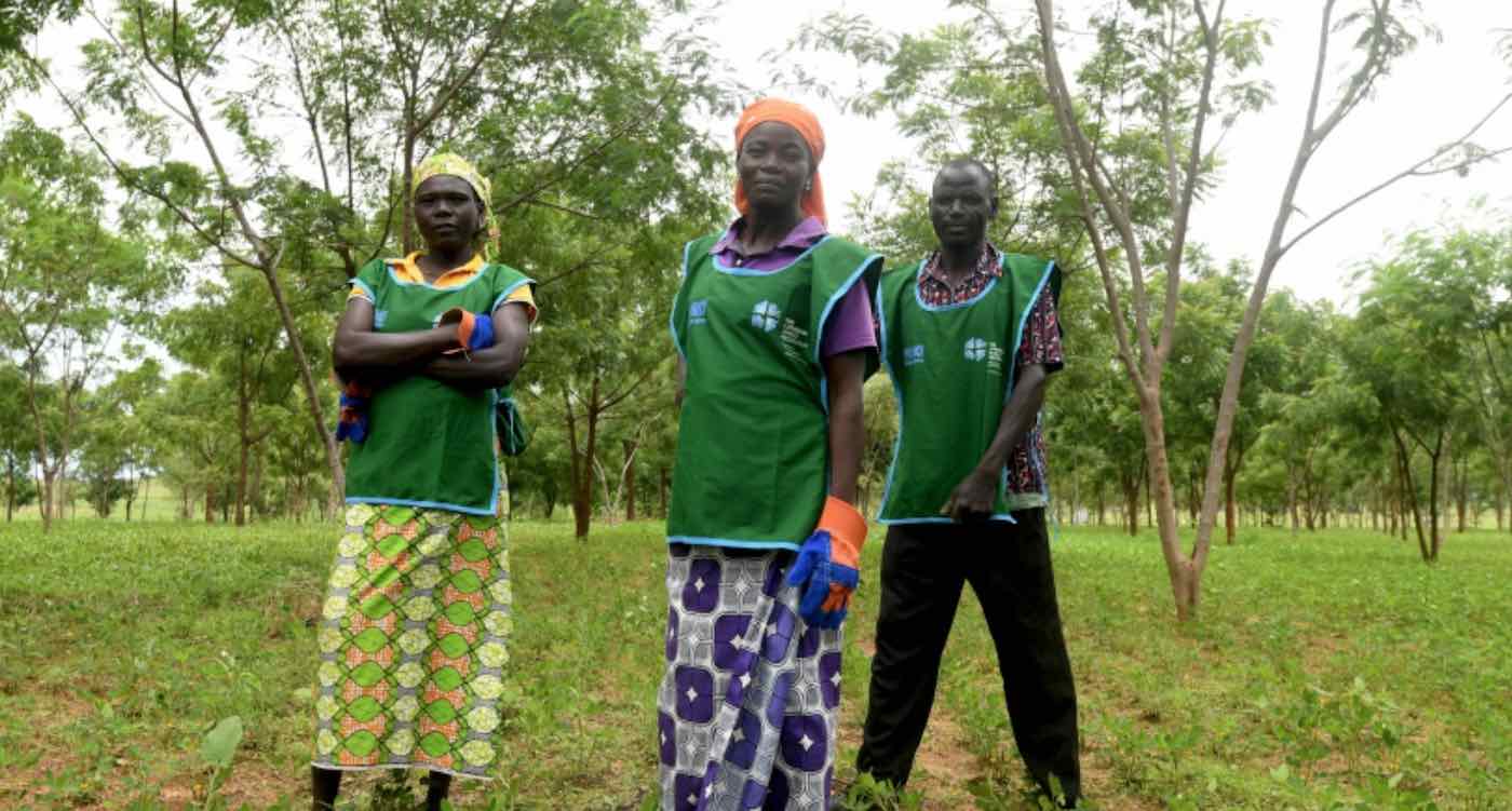 Refugees in Cameroon Have Turned a Treeless Desert Camp Into a Thriving ...