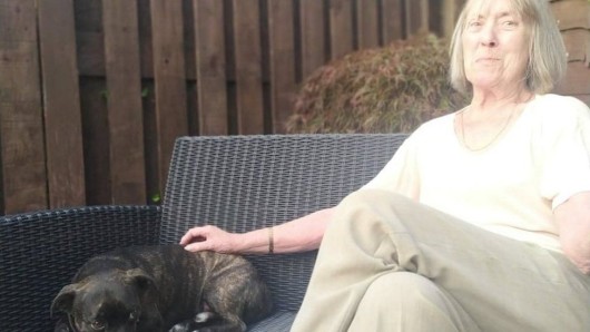 After Senior Had No Candy For Trick-or-Treaters the Kids Returned With ...