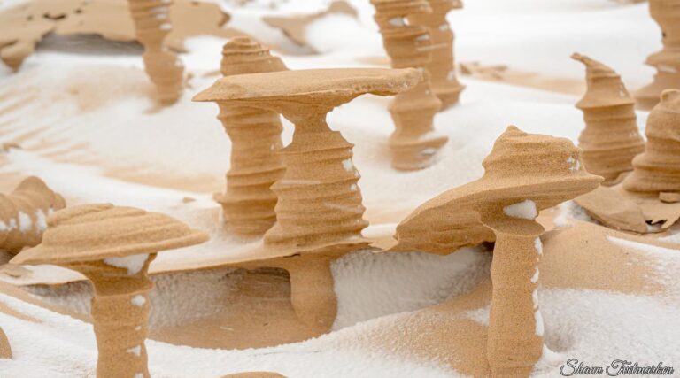 Alien-Like Sculptures Sliced By Ice and Winds on Lake Michigan Beach – LOOK